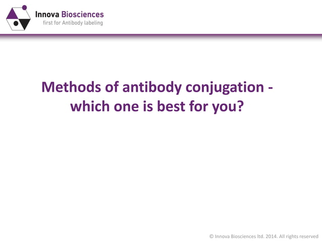 11 methods of antibody conjugation | PPT