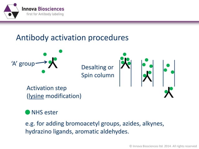 11 methods of antibody conjugation | PPT