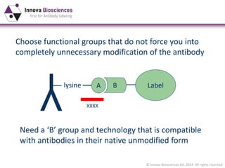 11 methods of antibody conjugation | PDF