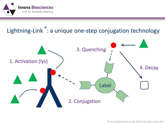 11 methods of antibody conjugation | PPT