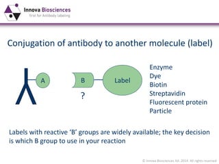 11 methods of antibody conjugation | PDF