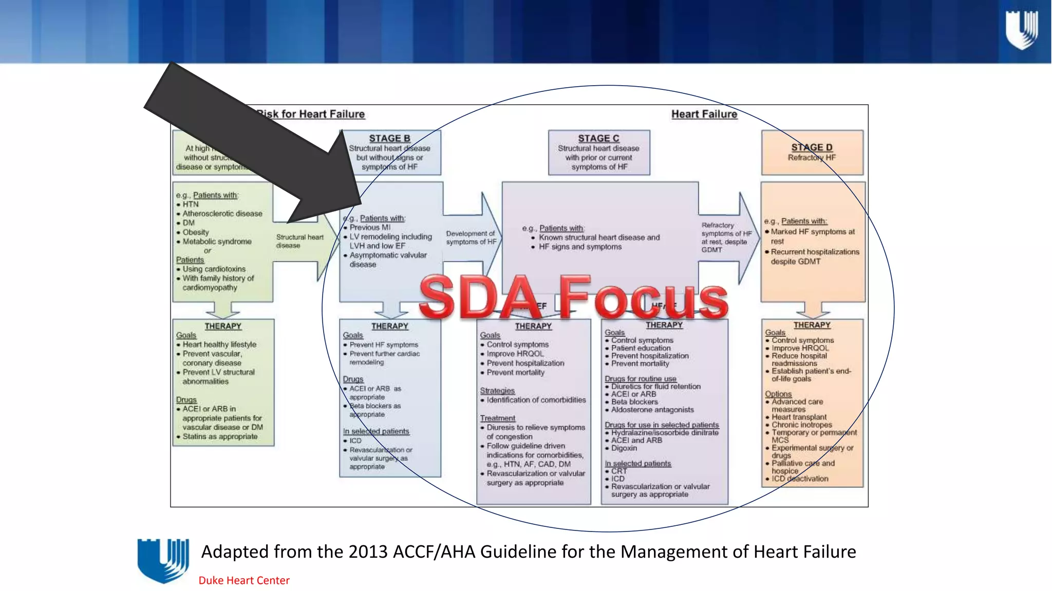 The History and Future of the SDA: Sustaining and Expanding the Role of ...