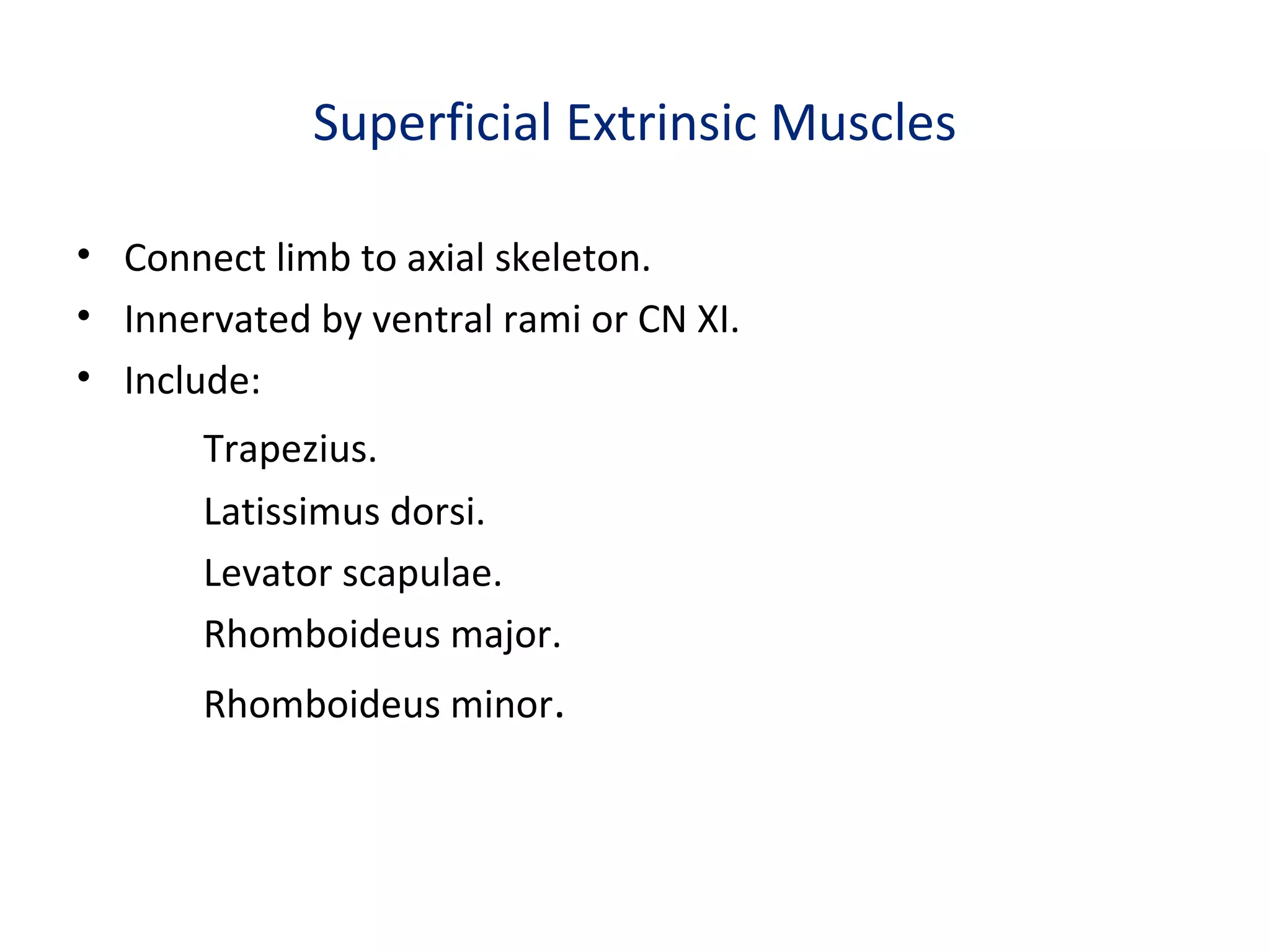 11 muscles of back dr swati | PPT