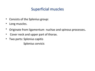 11 muscles of back dr swati | PPT