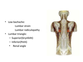 11 muscles of back dr swati | PPT