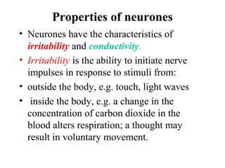 11 nervous tissue | PPT