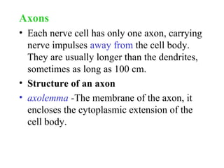 11 nervous tissue | PPT