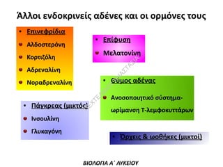Κεφάλαιο 11: Ενδοκρινείς αδένες- ΒΙΟΛΟΓΙΑ Α' ΛΥΚΕΙΟΥ | PDF