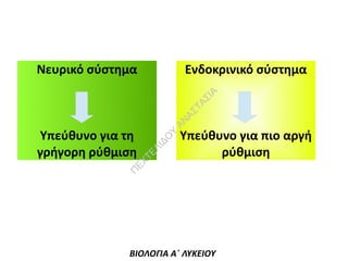 Κεφάλαιο 11: Ενδοκρινείς αδένες- ΒΙΟΛΟΓΙΑ Α' ΛΥΚΕΙΟΥ | PDF