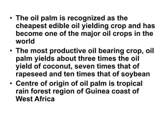 Oil palm.pptx