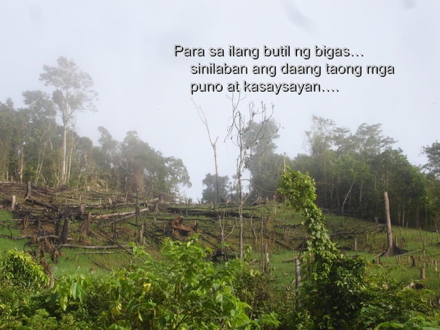 Pangangalaga Laban Sa Peste ng mga tanim.ppt