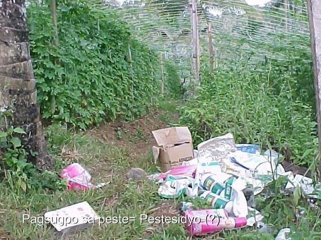 Pangangalaga Laban Sa Peste ng mga tanim.ppt