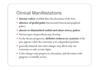 Pedal Pulses 2 Bilaterally