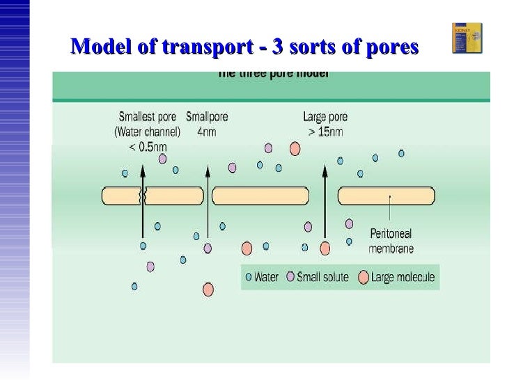 11 Peritoneal Dialysis
