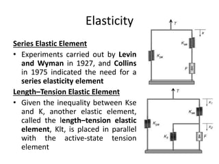 11_physiologicalmodeling.ppt
