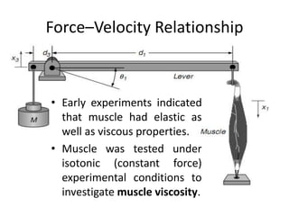 11_physiologicalmodeling.ppt