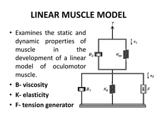 11_physiologicalmodeling.ppt