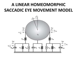 11_physiologicalmodeling.ppt