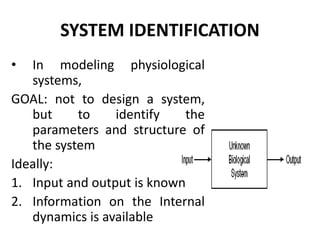 11_physiologicalmodeling.ppt