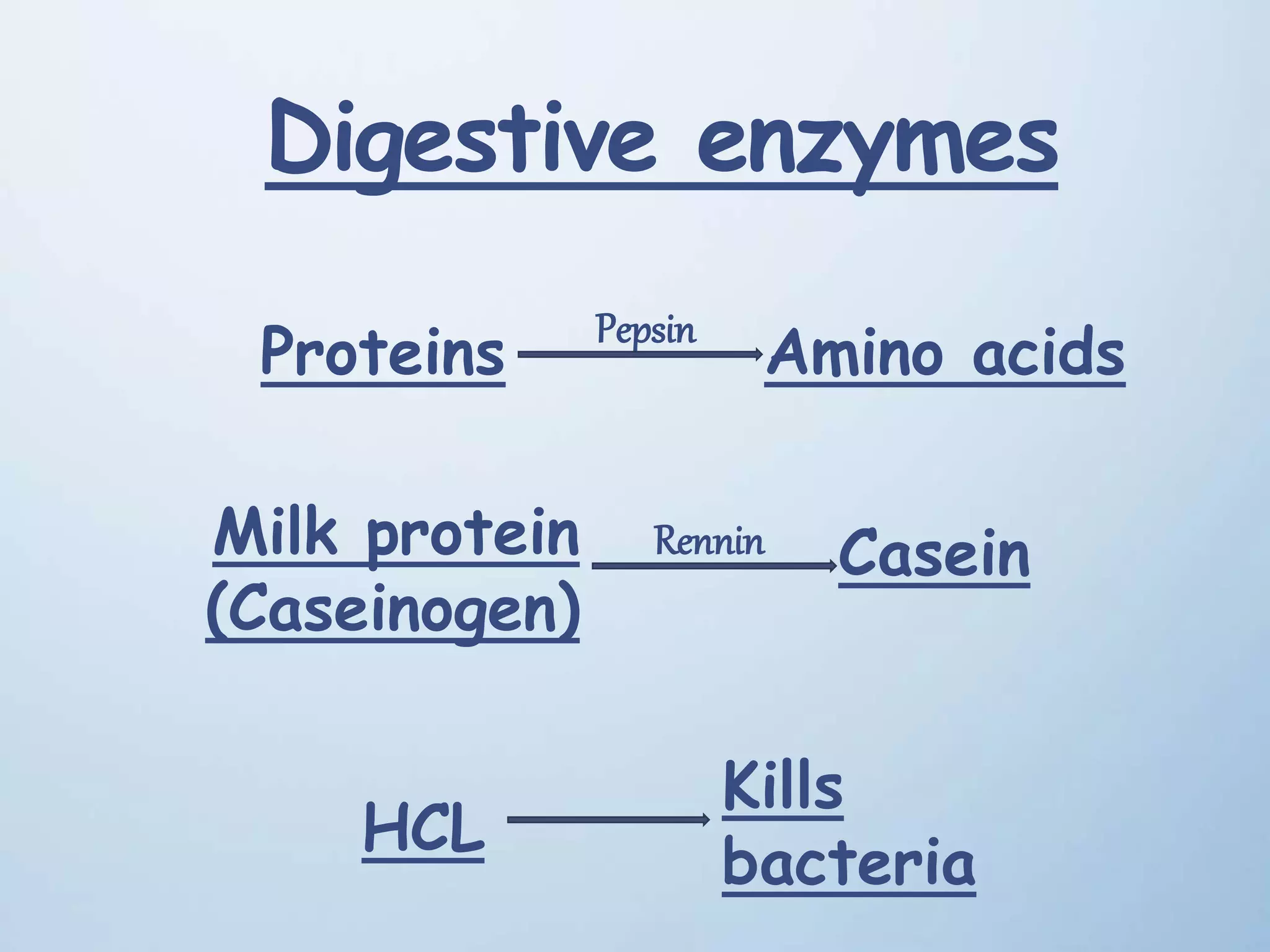 human digestive system ppt powerpoint presentation (19 slides) /In ...