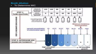 Procedure of sensitivity - Microbiology for Lab Technicians | PPT