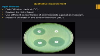 Procedure of sensitivity - Microbiology for Lab Technicians | PPT