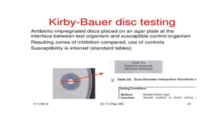 Procedure of sensitivity - Microbiology for Lab Technicians | PPTX