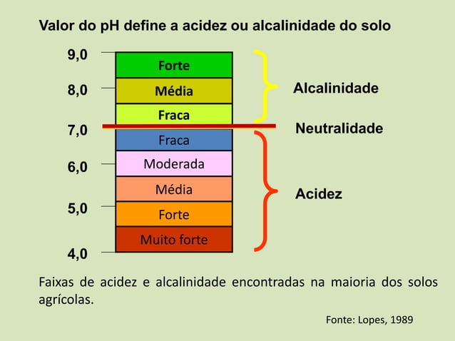 11 propriedades químicas do solo