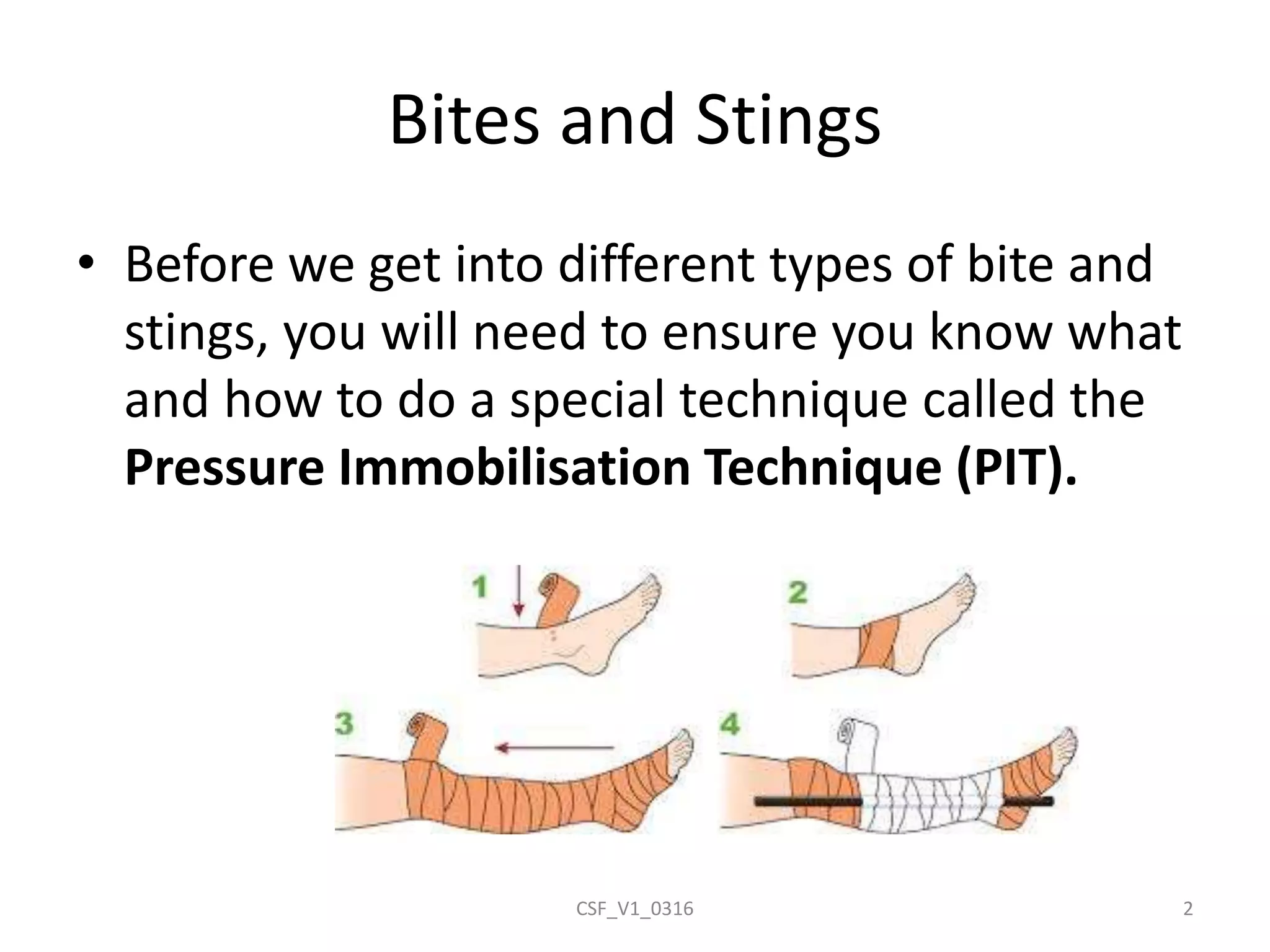 11 provide frist aid bites stings | PPTX