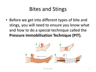 11 provide frist aid bites stings | PPTX