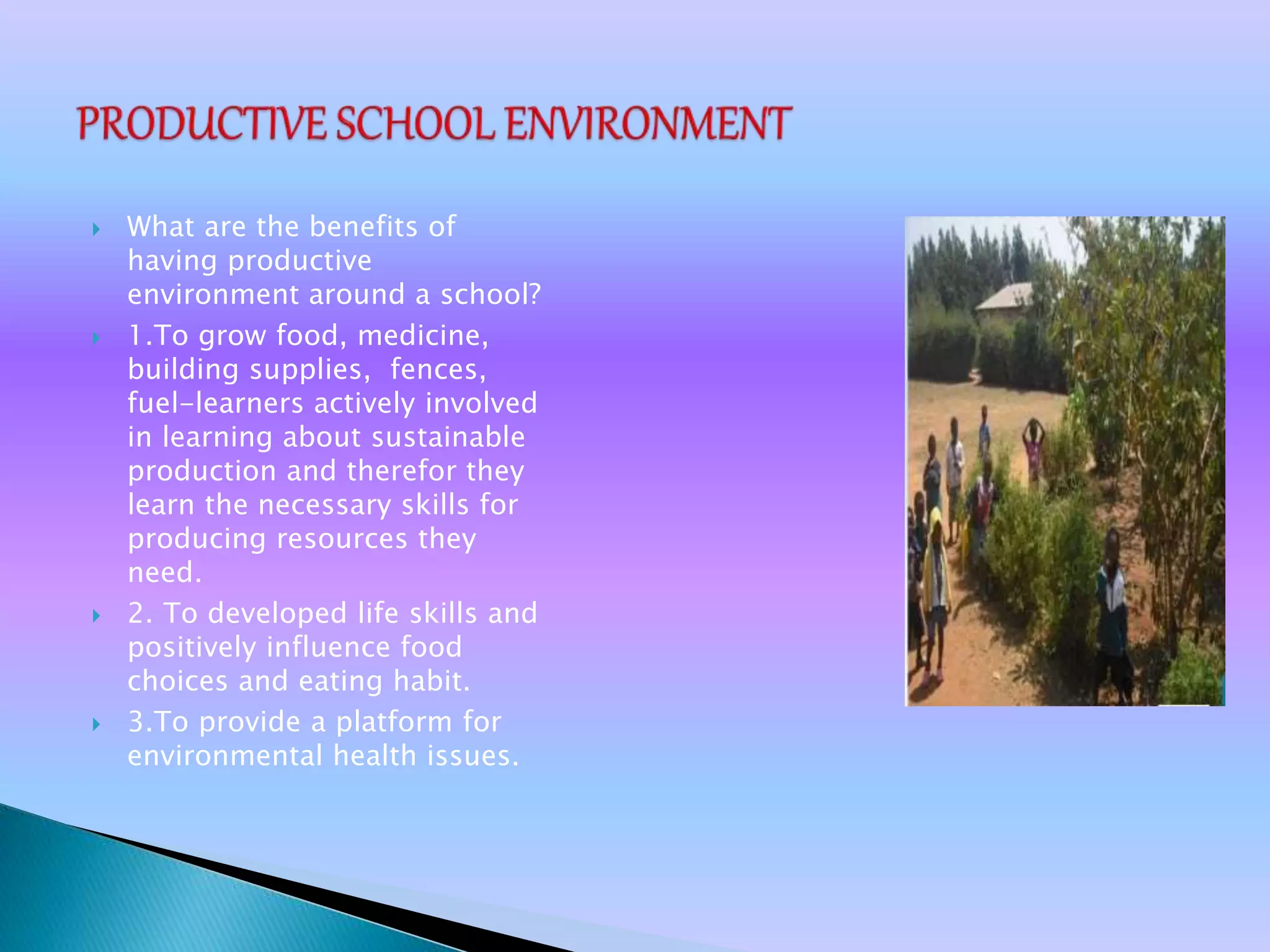 11 SCHOOL PHYSICAL ENVIRONMENT.pptx