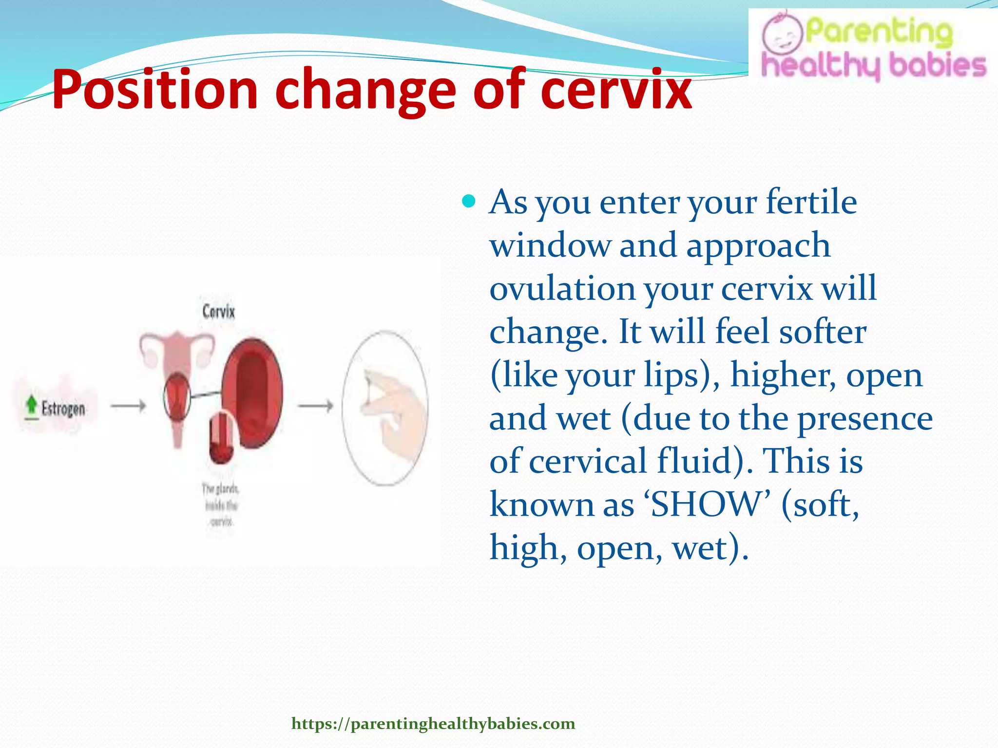 11 signs and symptoms of ovulation | PPTX