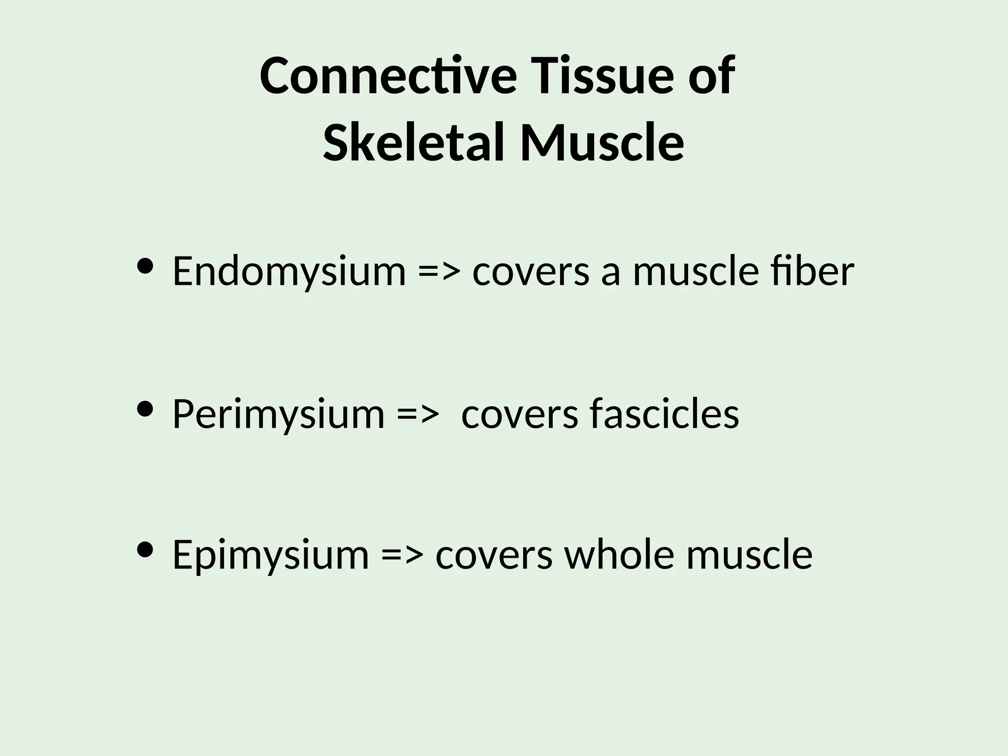 #11 Skeletal Muscle Anatomy .ppt