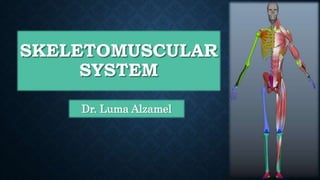 Skeletomuscular system.ppsx