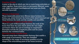 Skeletomuscular system.ppsx