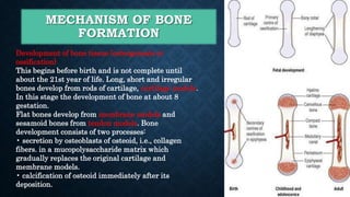 Skeletomuscular system.ppsx