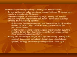 PPT Morfologi Tumbuhan - Simetri Bunga, Rumus Bunga, dan Diagram Bunga ...