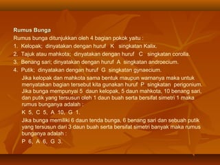 PPT Morfologi Tumbuhan - Simetri Bunga, Rumus Bunga, dan Diagram Bunga ...