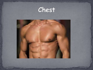 ESL Body Parts Review | PPT