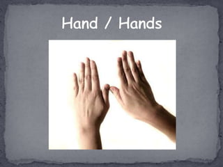 ESL Body Parts Review | PPT