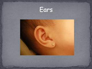 ESL Body Parts Review | PPT