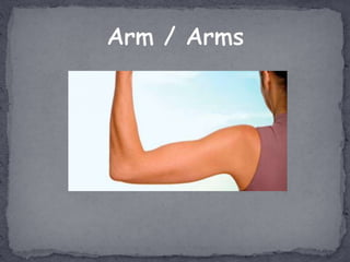 ESL Body Parts Review | PPT