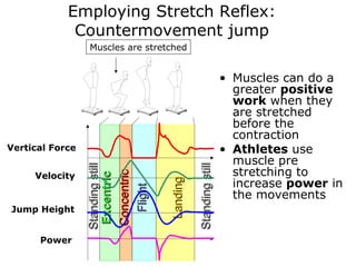 11 spinal reflexes sr2002 2013 al | PPT