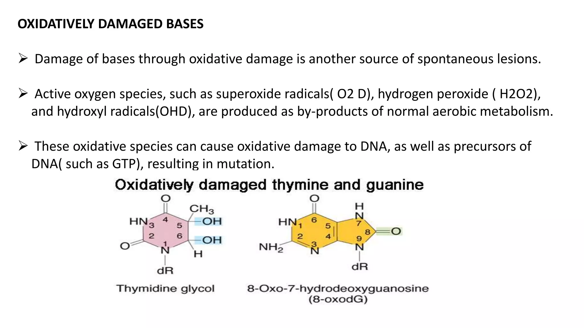 spontaneous and induced mutations | PPTX