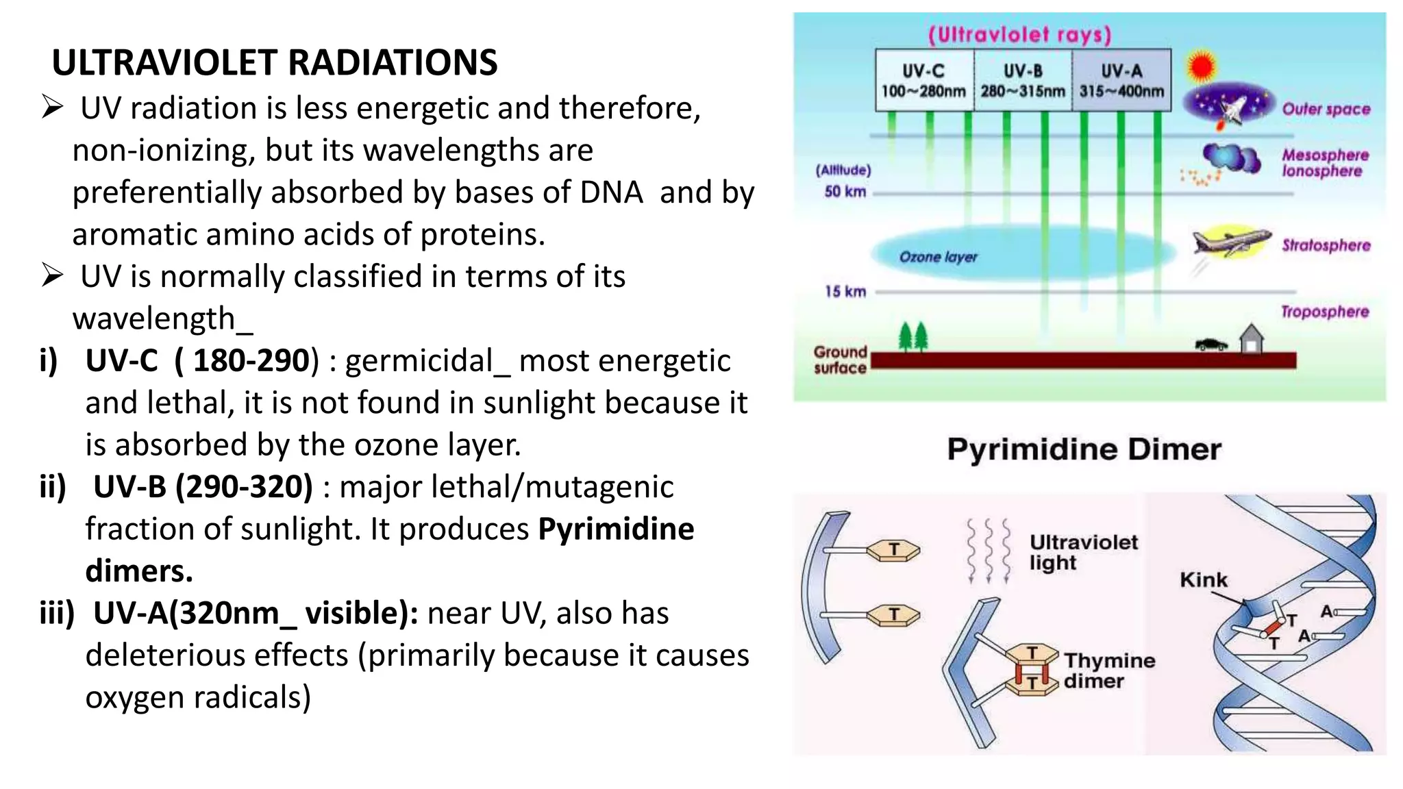 spontaneous and induced mutations | PPTX