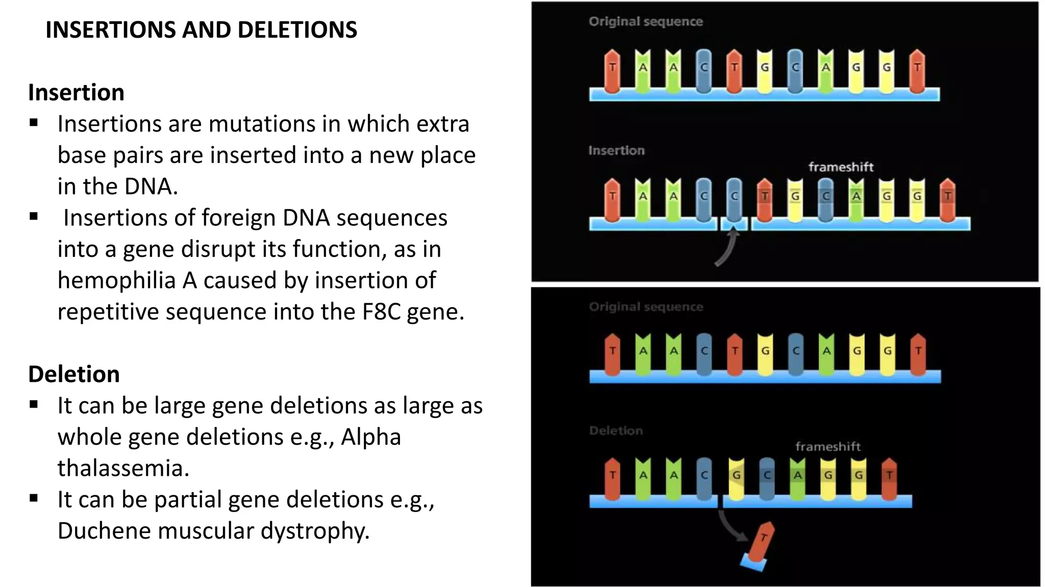 spontaneous and induced mutations | PPTX