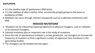 spontaneous and induced mutations | PPTX