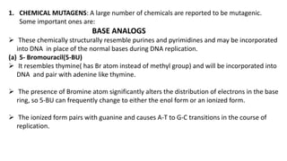 spontaneous and induced mutations | PPTX