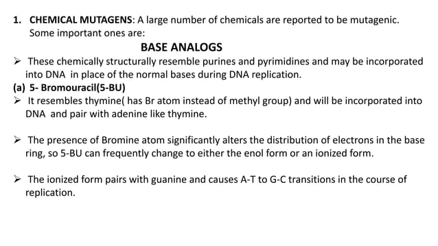 spontaneous and induced mutations | PPTX