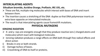 spontaneous and induced mutations | PPTX
